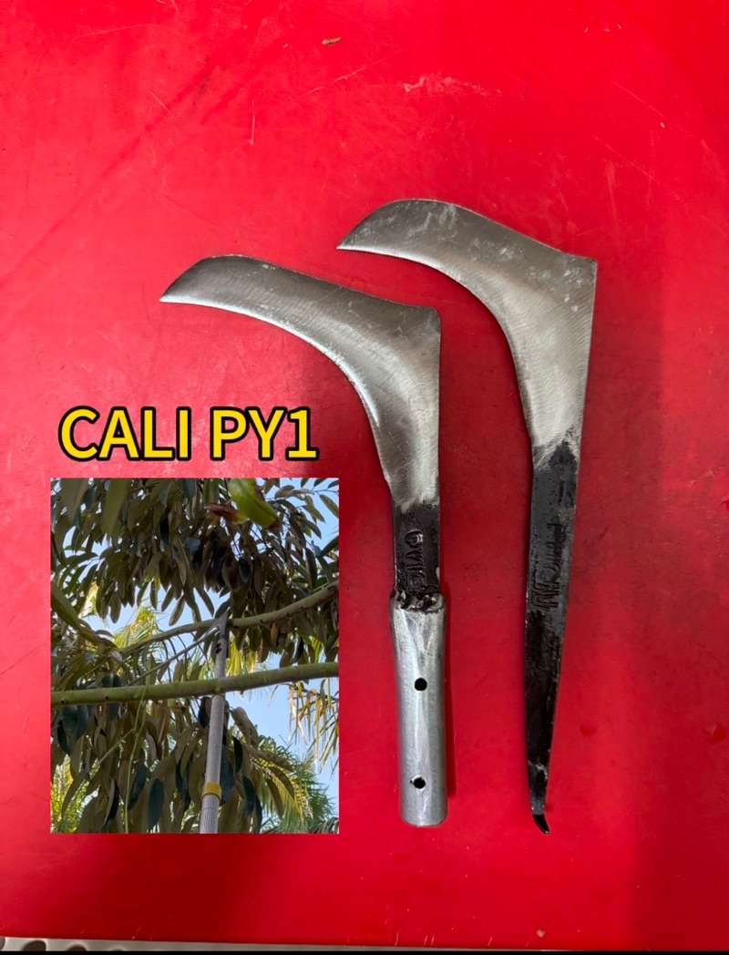 CALI PY1 pisau durian sabit potong pokok durian spring lorry 2mate ...