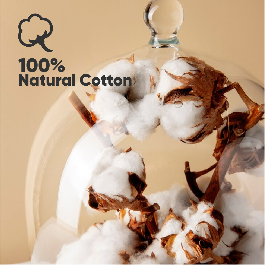 Novelle Pure Cotton Fitted Bedsheet Set (w/o Comforter or Quilt Cover ...