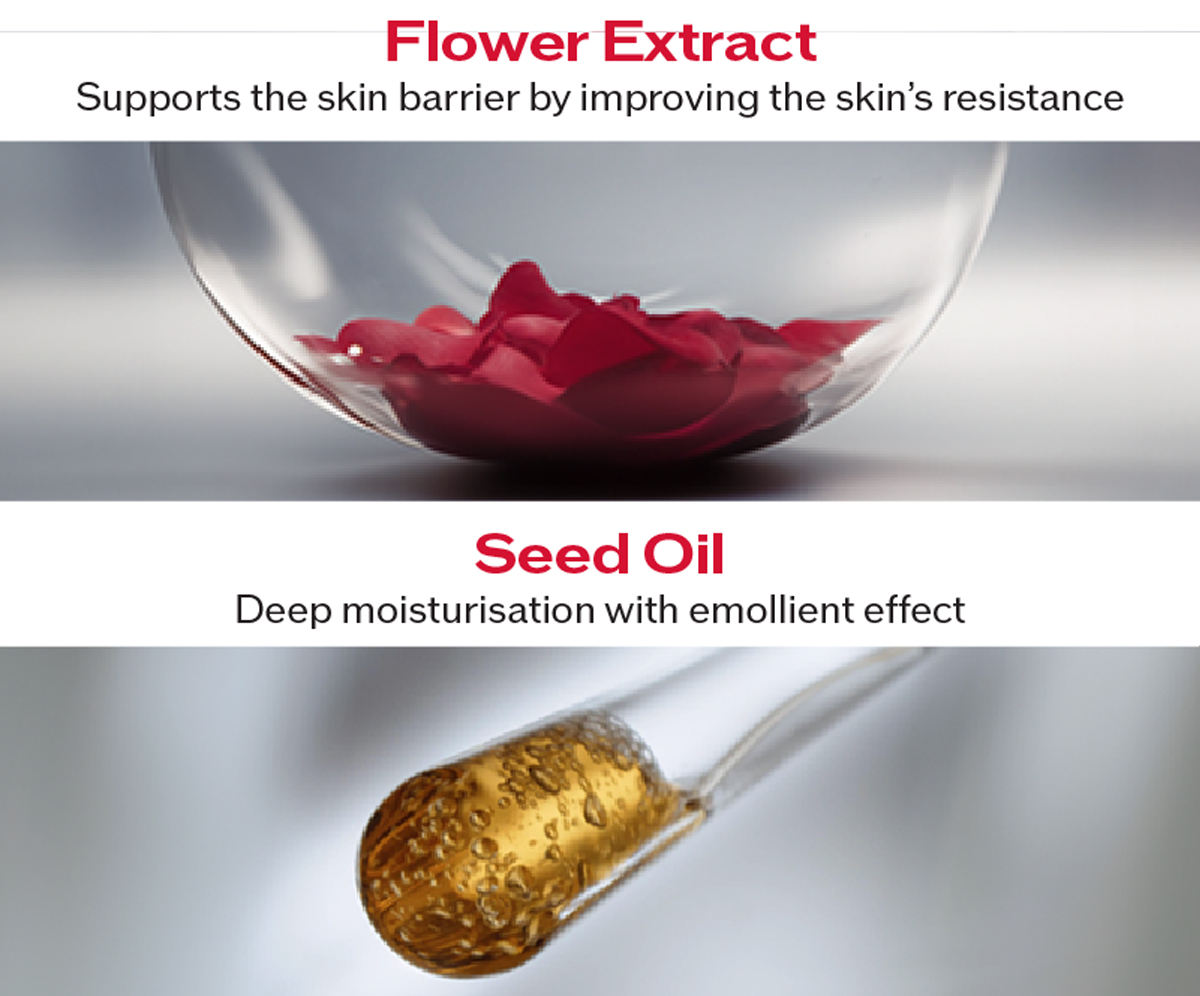 [NEW ULTIMUNE Exclusive] Shiseido New Ultimune Power Infusing ...