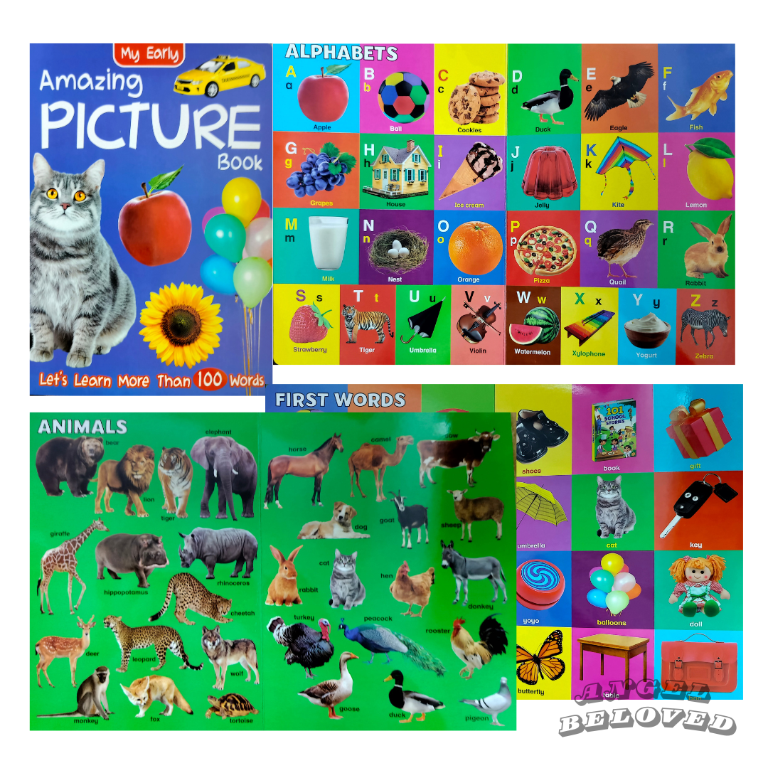 My Early Picture Book Baby Book Board Book Buku Bergambar Kamus ...