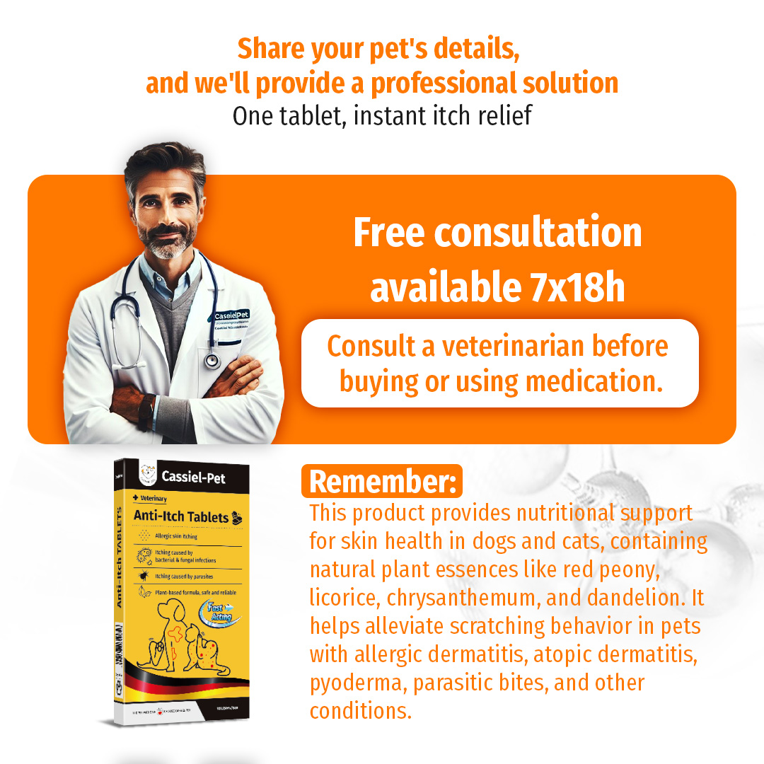 Cassiel Pet Anti ltch Tablets Skin Disease Medicine For Anti Itching ...