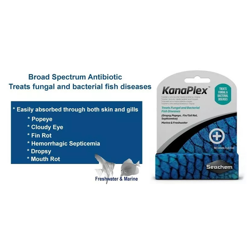 Seachem Kanaplex -Treat fish fungus and bacteria problem - plus ...