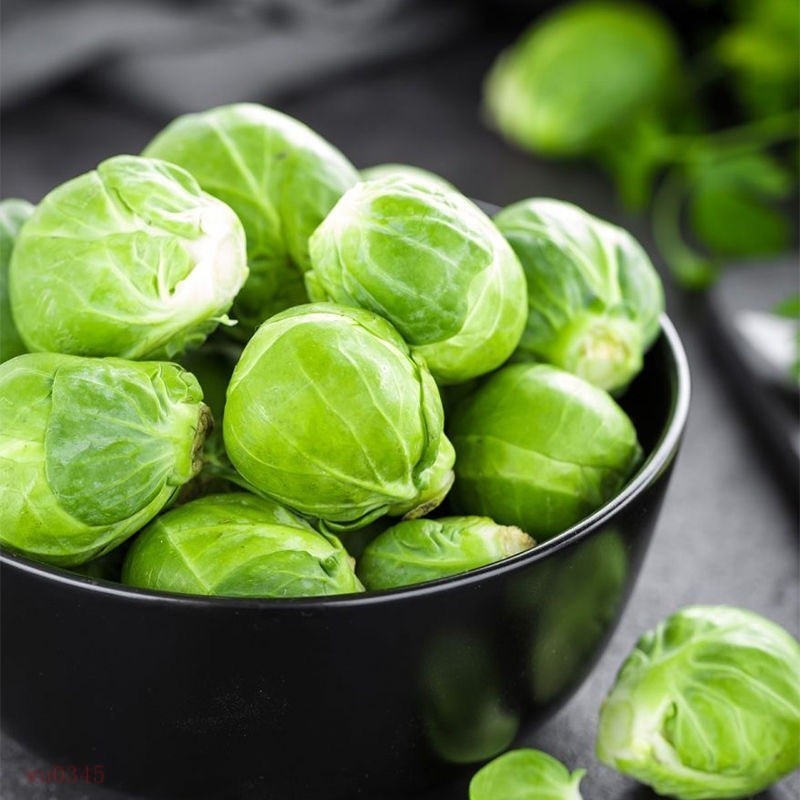 20 pcs Brussel Sprouts Long Island Seeds Green Purple/Benih Kubis Baby ...