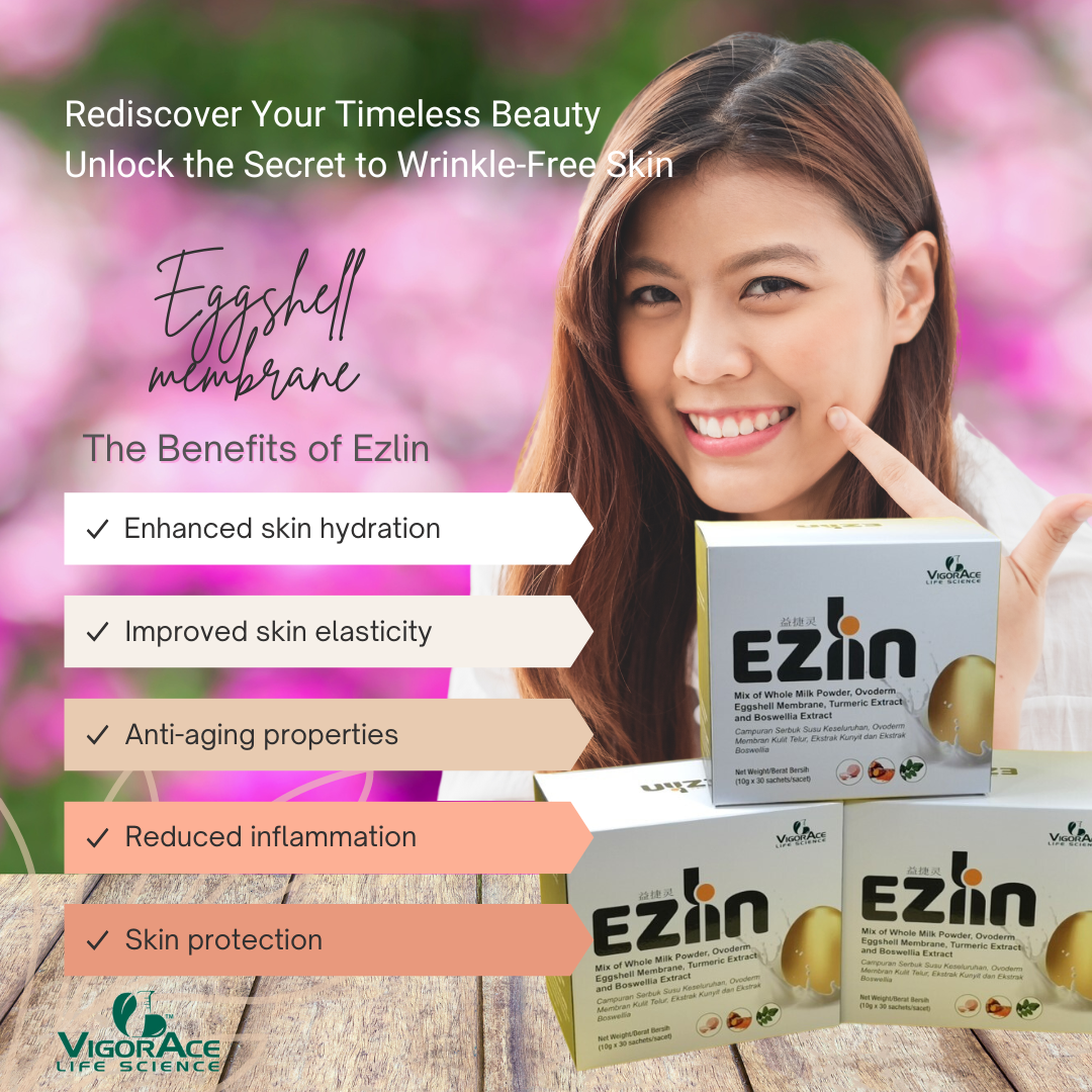 VigorAce Ezlin~Ovoderm EggShell Membrane 300mg, Turmeric & Boswellia ...