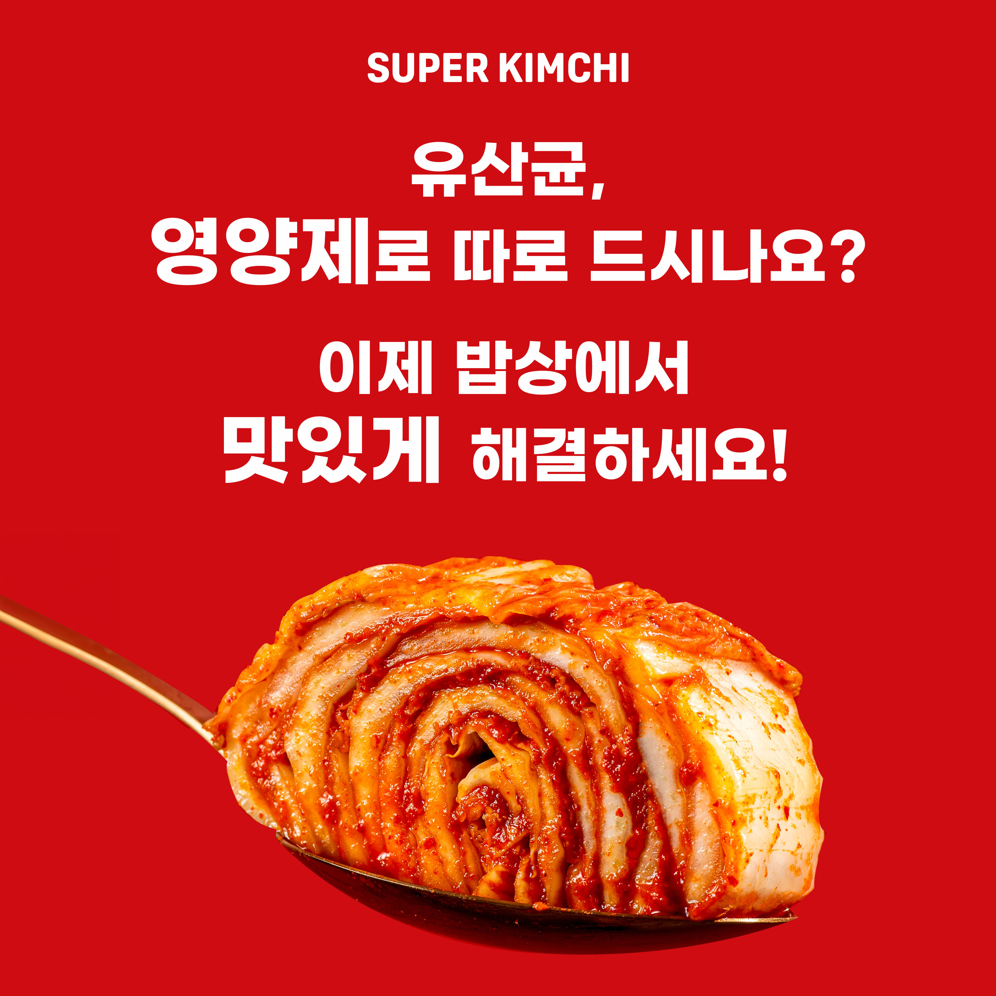 SUPER KIMCHI made by Koreans in Malaysia / Probiotic Kimchi / کیمچی ...