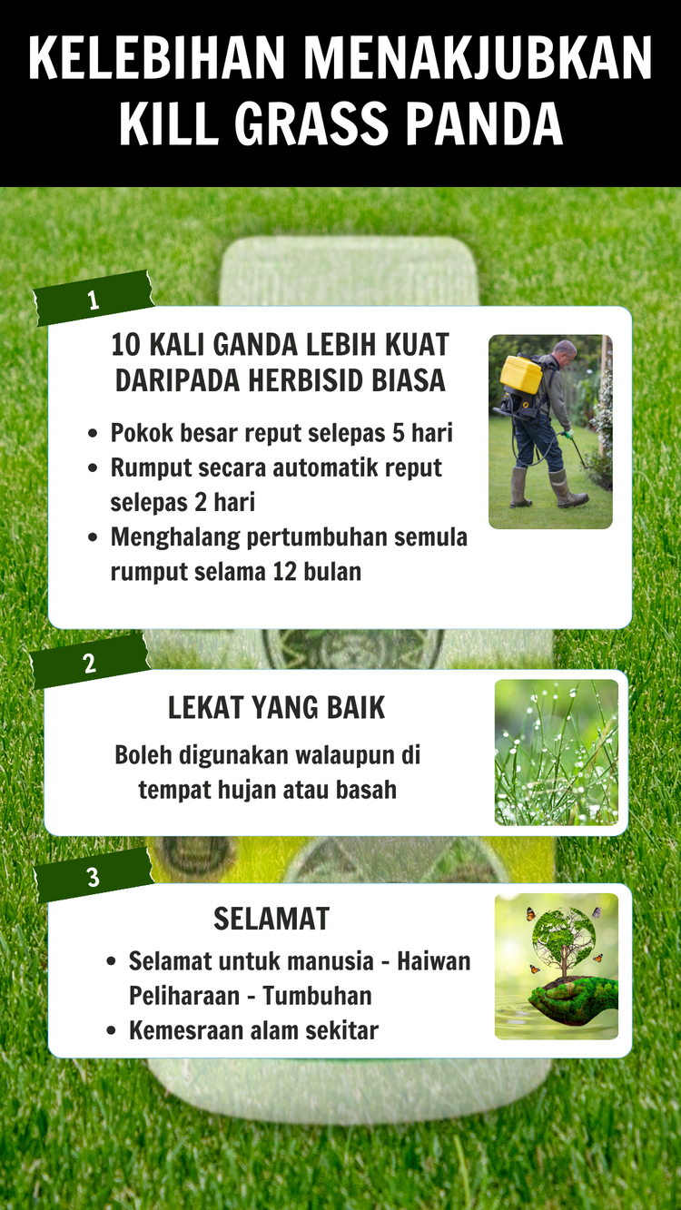 Racun Rumput Panda – Musnahkan Rumput dengan Cepat, Kuat dan Bersih ...