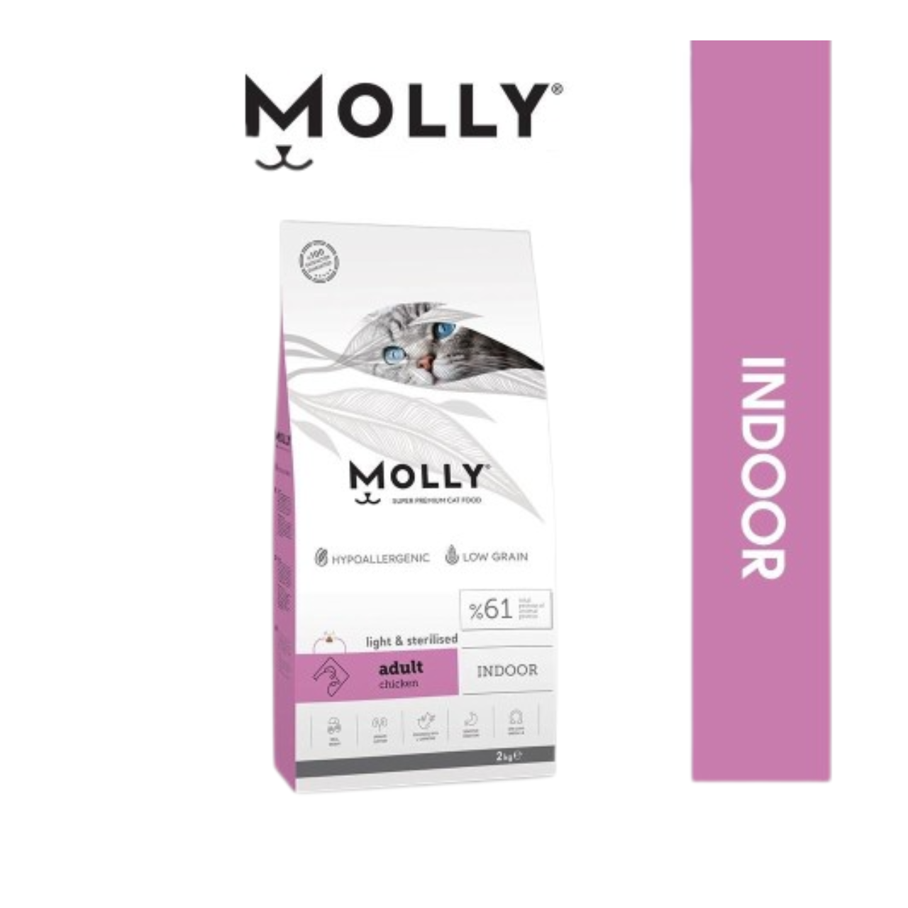 Molly Super Premium Cat Food 2KG Kitten & Mother/Chicken & Anchovy ...