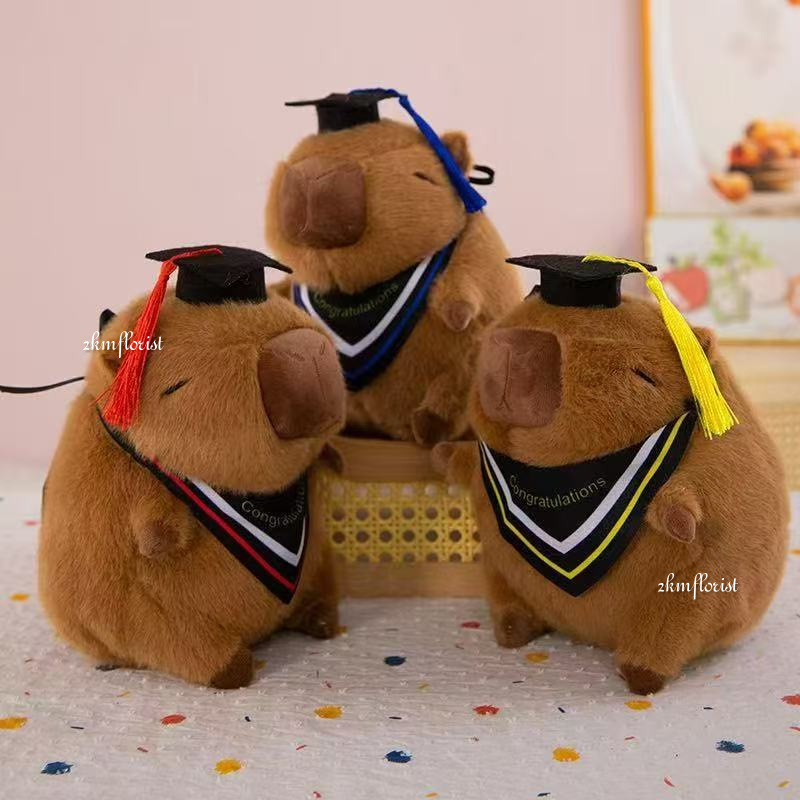 22CM CAPYBARA GRADUATION BEAR Plush Toy Cute Capibara Plushie Toy Anak ...