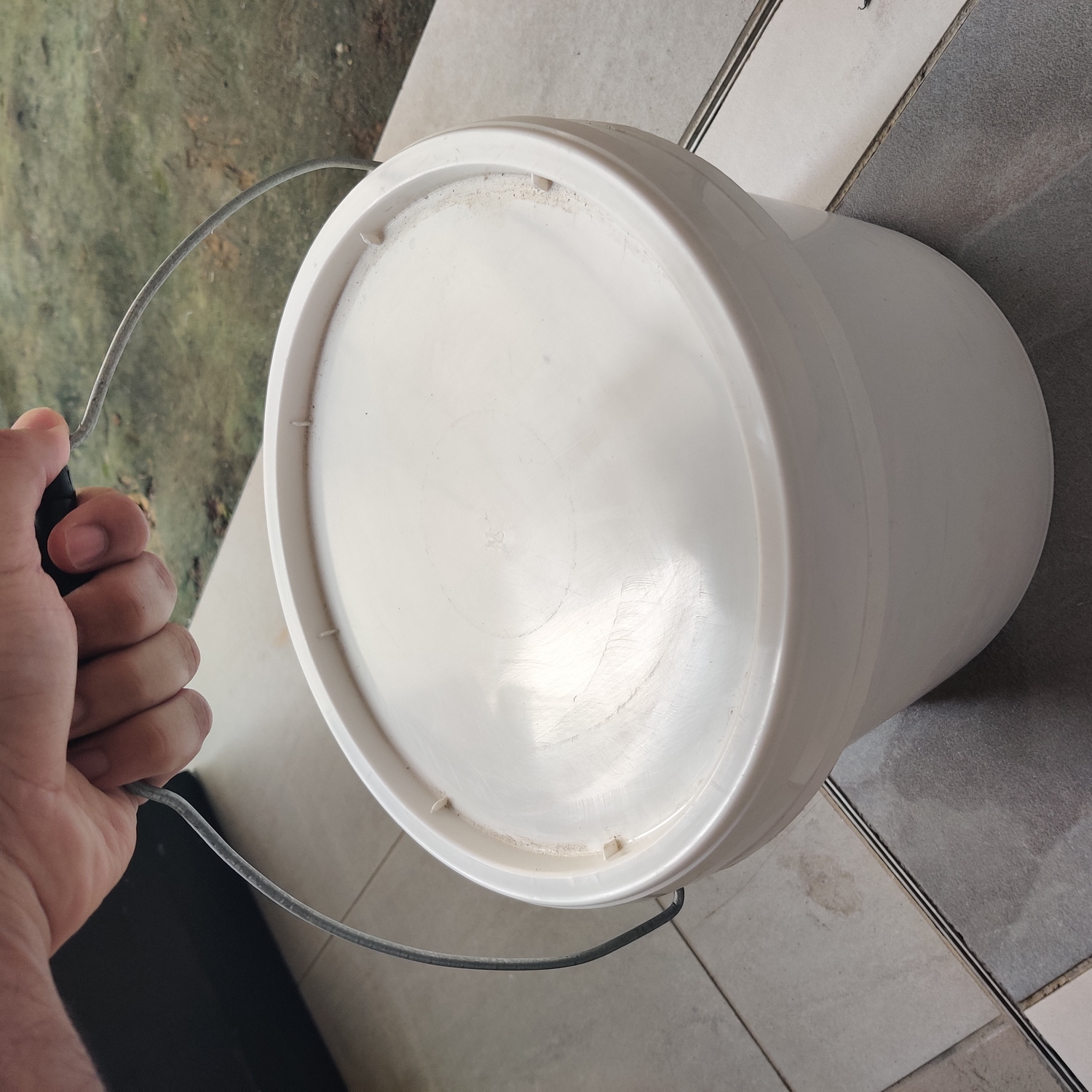 Oshin 1gr 10Kg Racun Serangga Dinotefuran 1% koya mealybug aphids ...