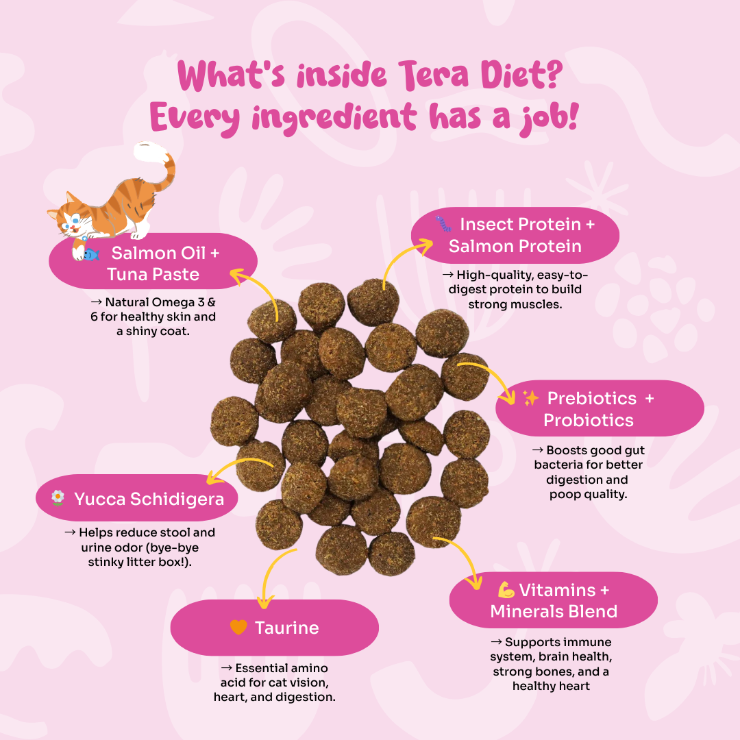 Tera Diet Makanan Kucing Cat Food High Protein 6kg 12kg | Shopee Malaysia