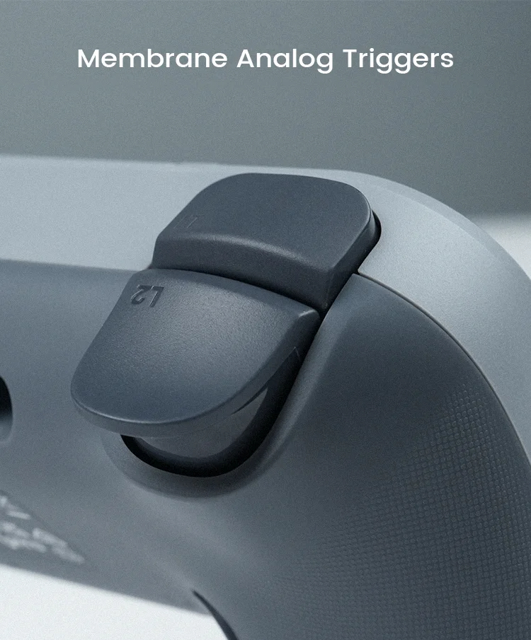 GameSir Tegenaria Lite Wired Symmetric Game Controller For Nintendo ...