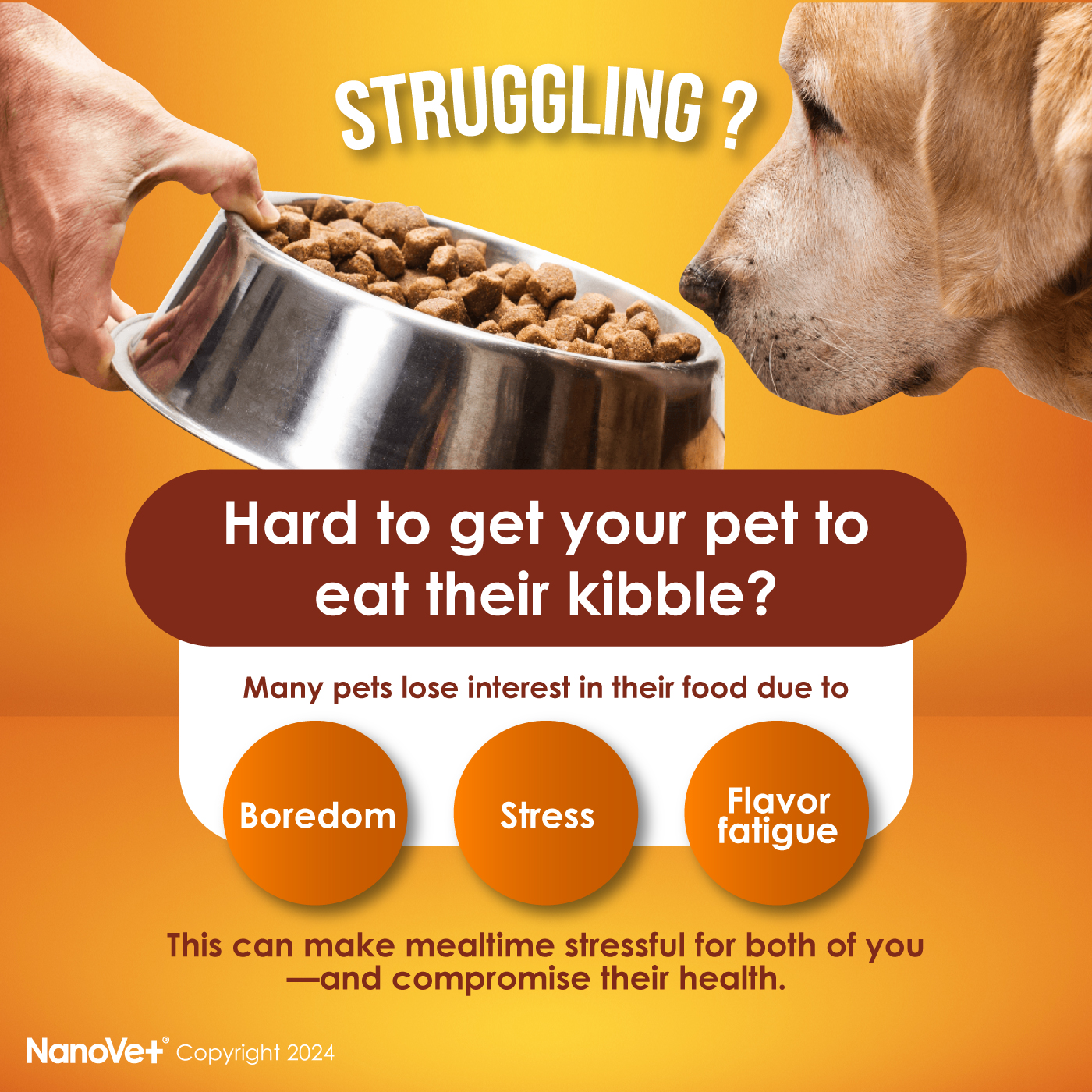 Nanovet® Kibble Topper Appetite Booster For Cat And Dog (70g) | Shopee ...