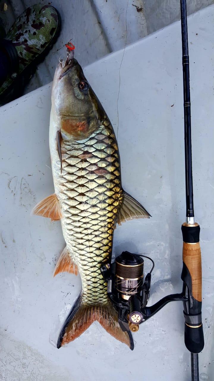 ZEREK NAGINATA ROD CASTING AND SPINNING MODELS | Shopee Malaysia