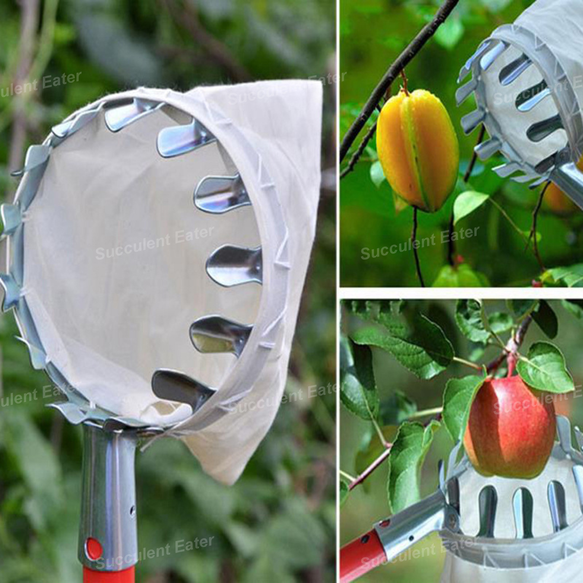 Fruit Picker Head Cloth Fruit Tree Tools Alatan Kepala Pemetik Pokok ...