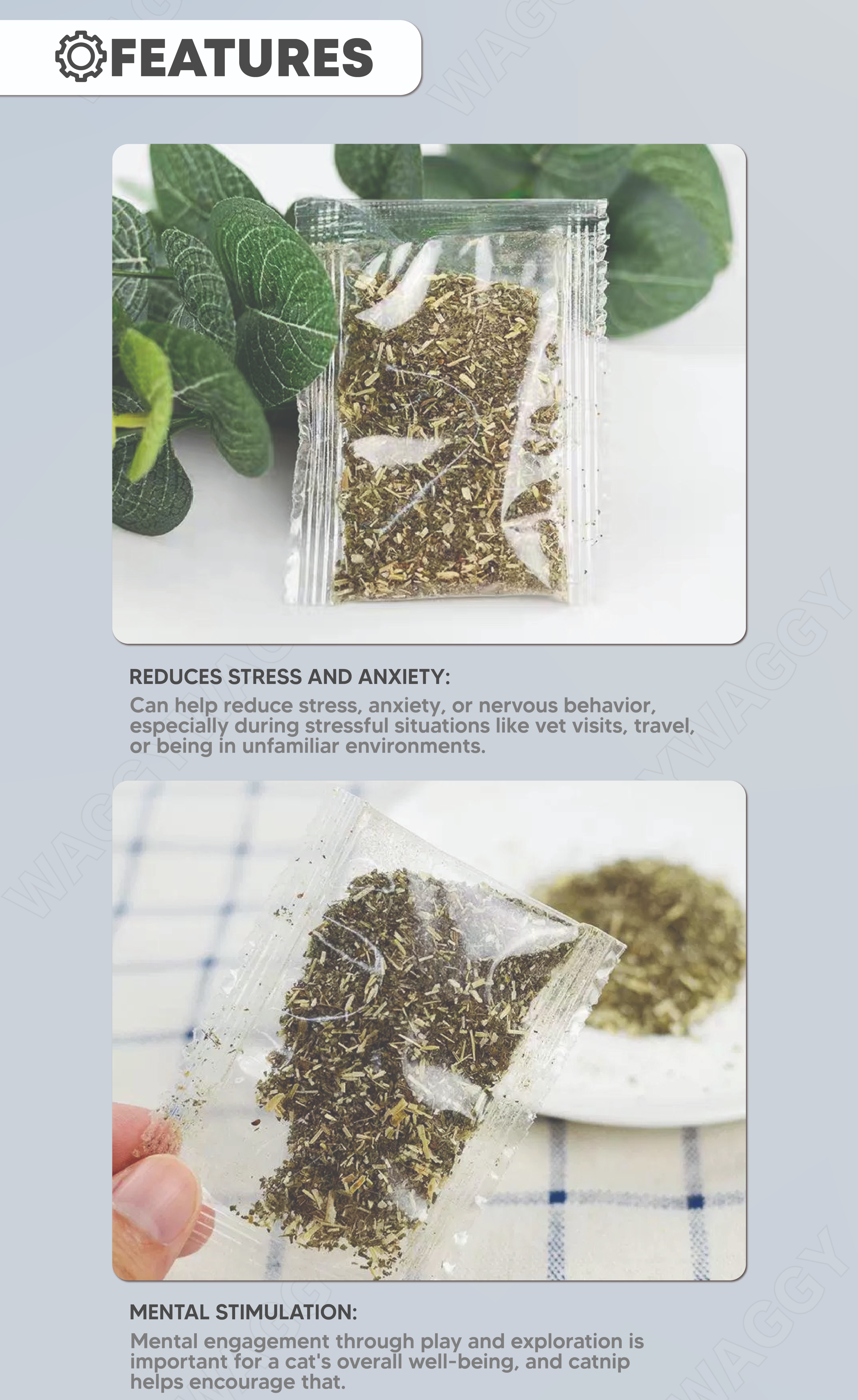 WaggyWaggy Catnip 2g Premium Catmint Catwort Catswort Cat Fine Cut Herb ...