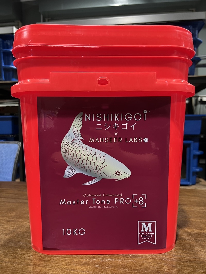 Nishikigoi x Mahseer Labs Cross Over Edition Premium Coloured Enhanced ...
