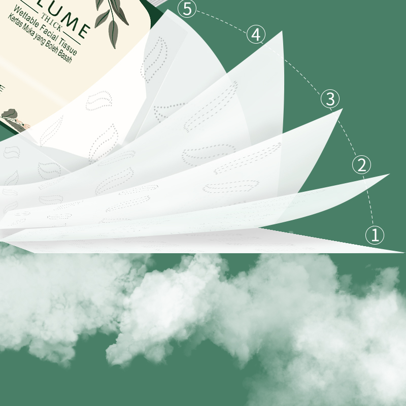 DWY 5 Ply Soft Facial Tissue Flat Embossed No Fluorescent Agent (300's ...