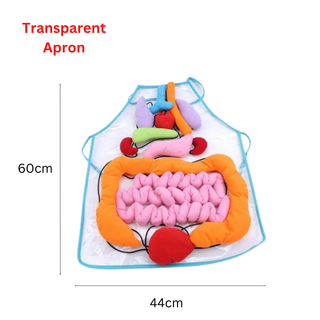 Anatomy Apron ,Human Organs Apron for Boys and Girls Age 3 years+ ...