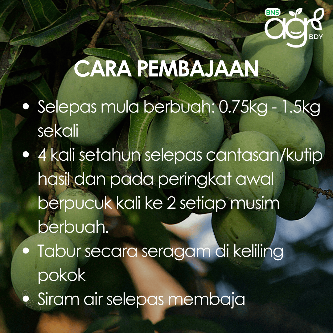 [1kg] AgroBuddy Baja Pokok Mangga Mempelam | Special Mango Fertilizer ...