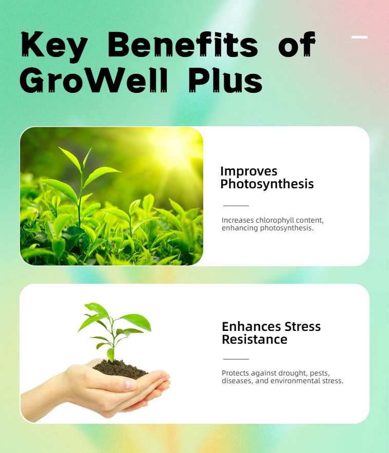 AGROSTAR Growell Plus-Well Balanced NPK 8/8/8 Fortified With Amino Acid ...