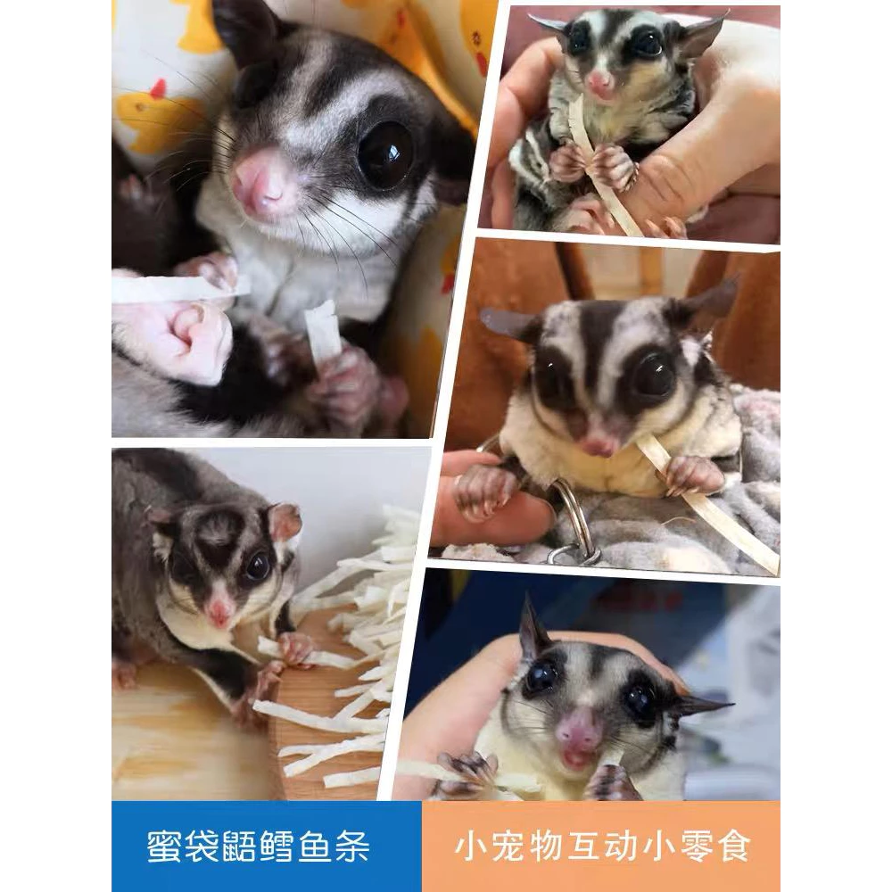 Sugar Glider Fish Snack / Small Animal hamster Fish Strap Treats Snack ...