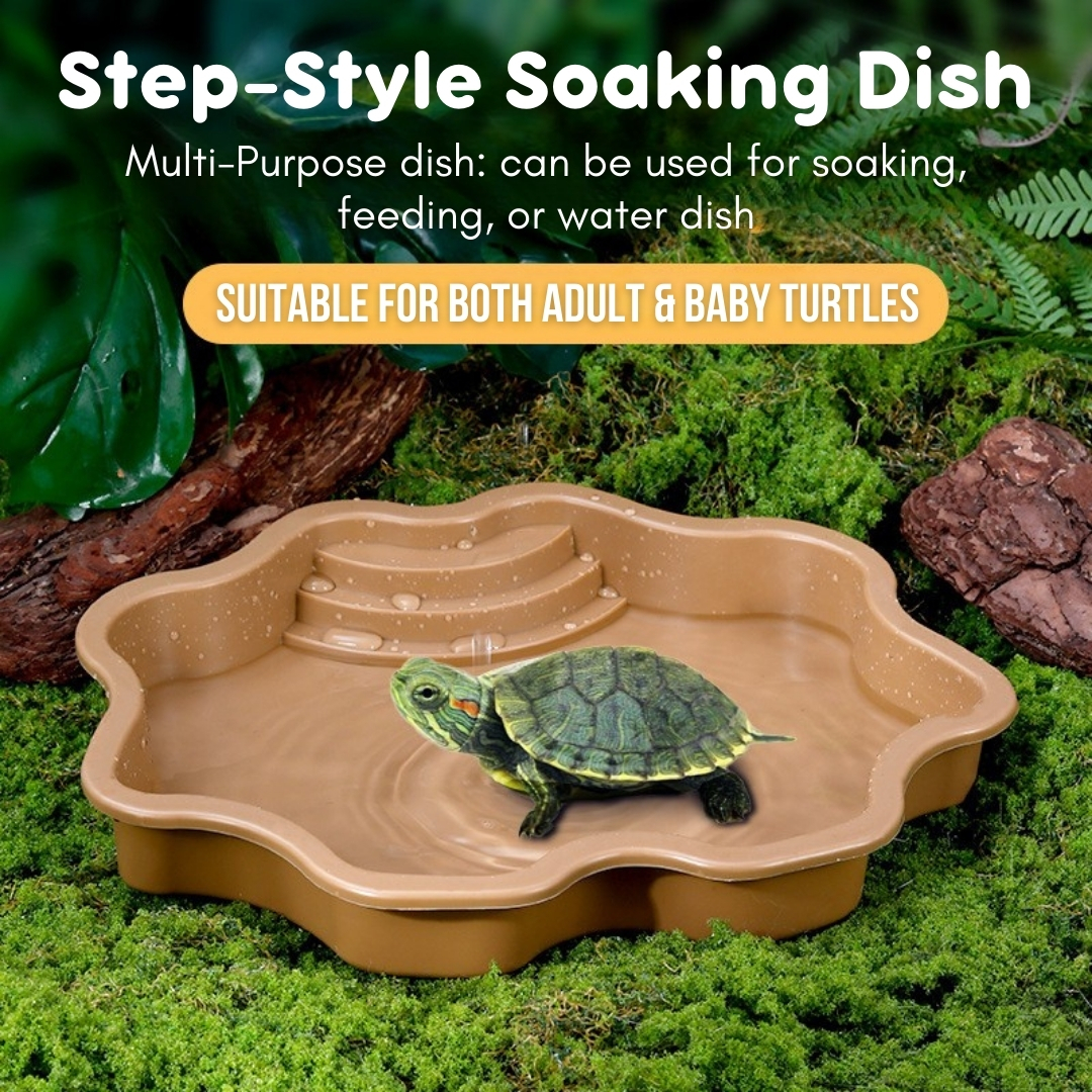 Reptile Feeding dish S/M/L/XL tortoise food bowl heavy design tortoise ...