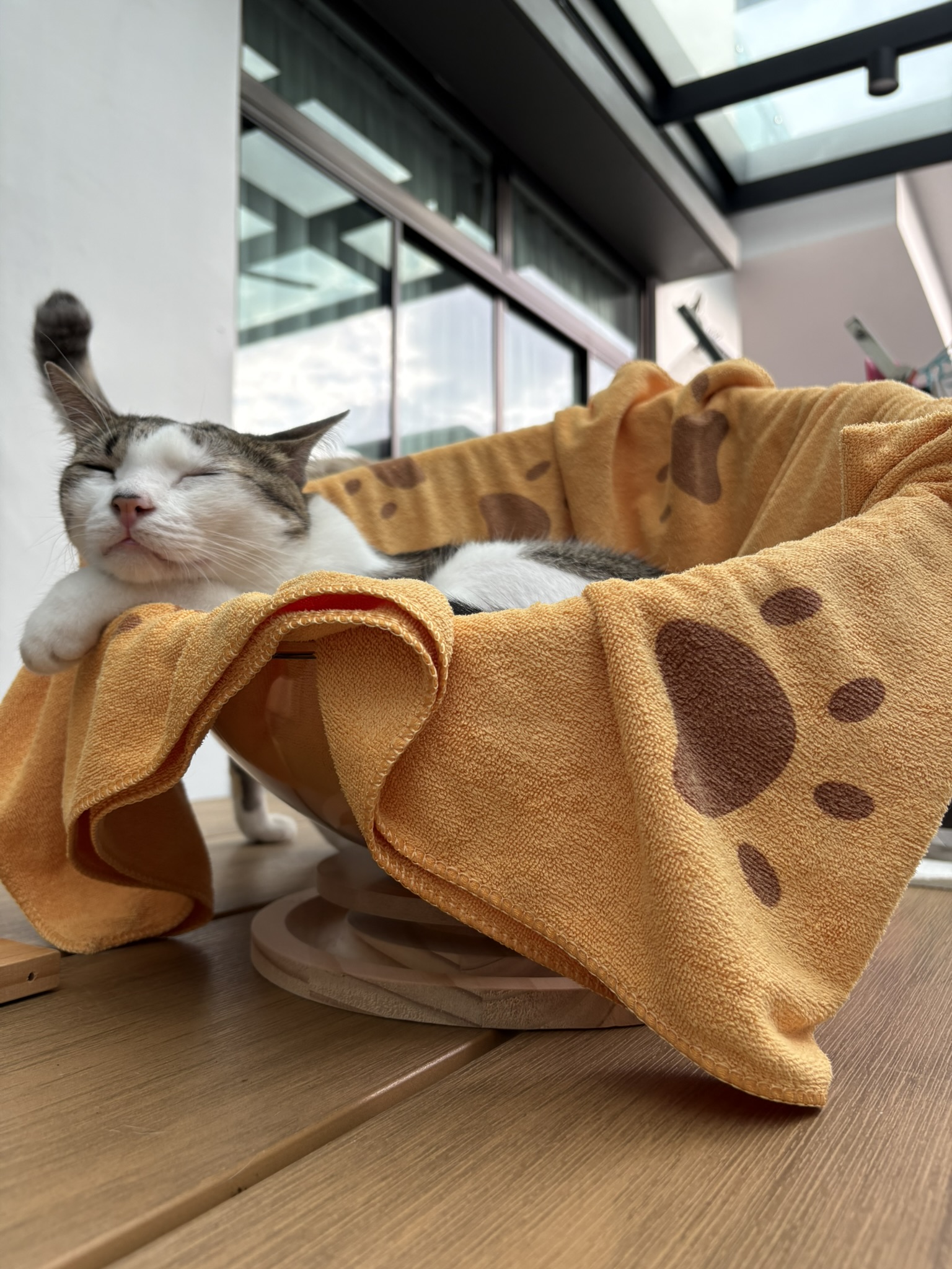 Round Space Capsule for Cat Sleeping Napping Bedding Large Acrylic ...