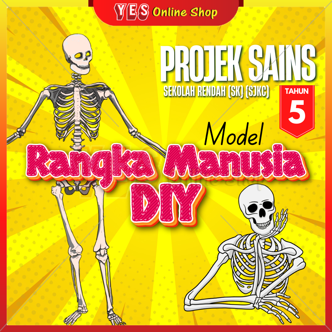 Model Rangka Manusia DIY - BAHAN PEMBELAJARAN PROJEK SAINS TAHUN 5 ...