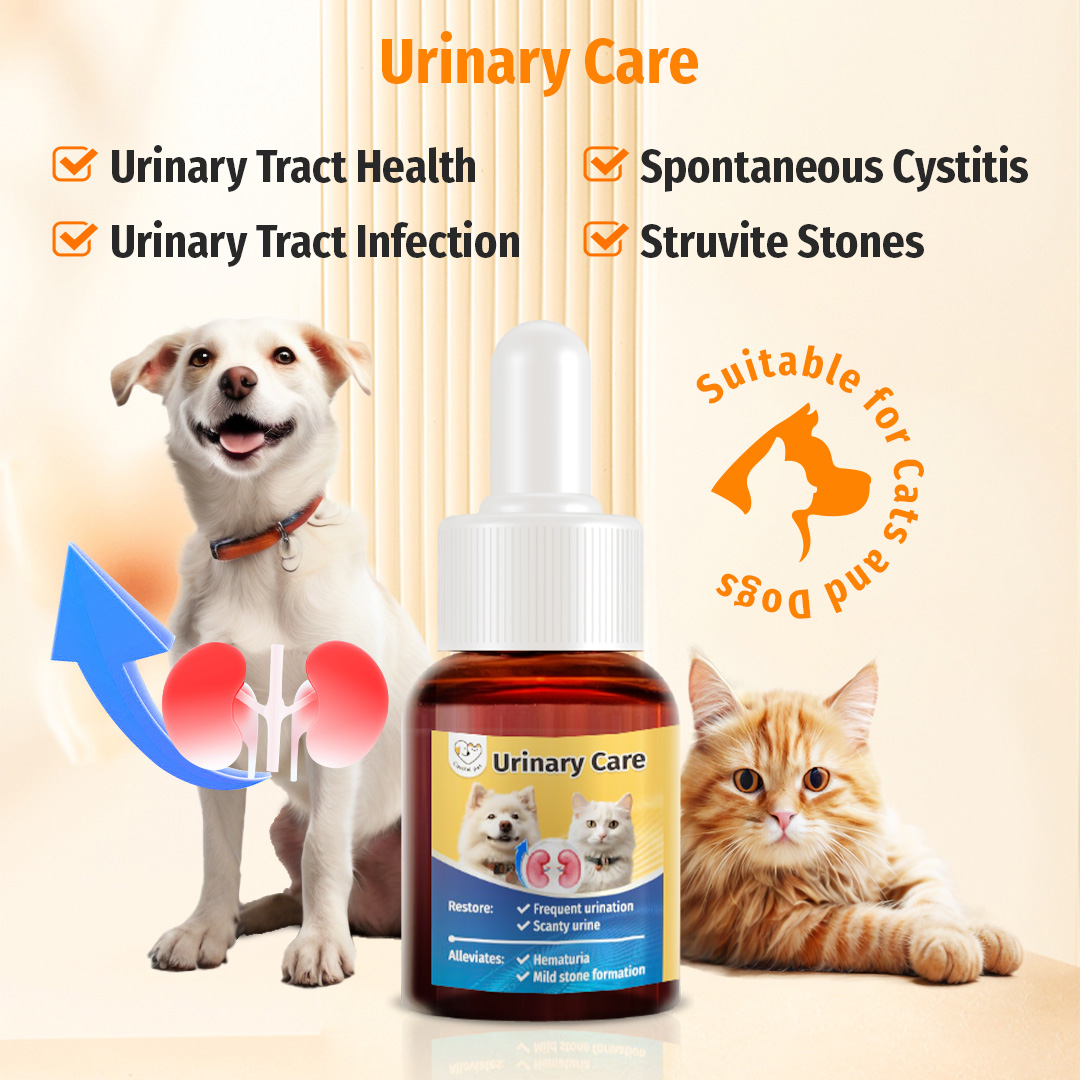 Cassiel Pet Kidney, Urinary Hematuria, Urinary Tract Nutritional ...