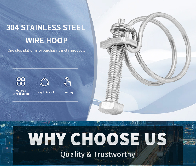 SS304 HOSE CLAMP CLIP DOUBLE WIRE HOSE CLAMP CLIP Radiator hose clamp ...