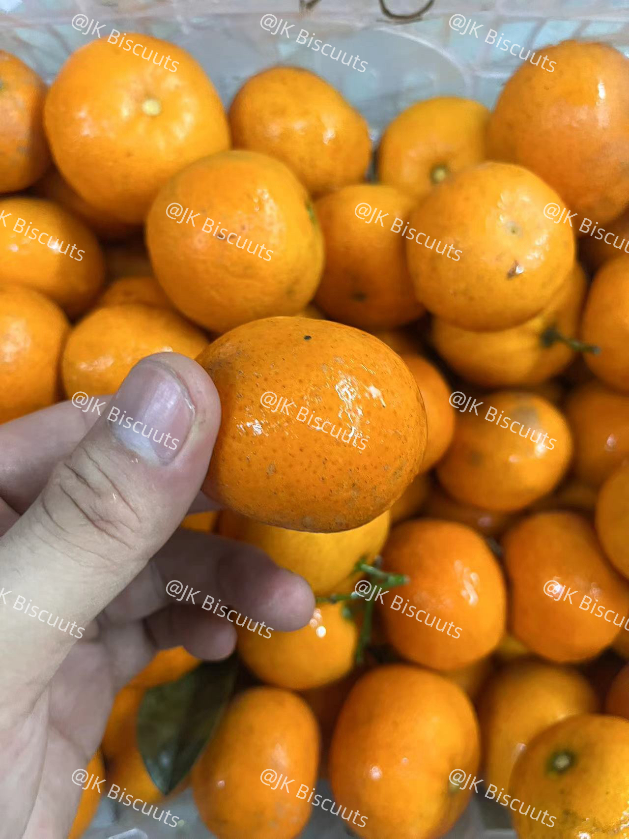 Limau Madu Baby Fresh & Manis manis siki masam；鲜甜 蜜柑 👍👍👍,JK Biscuits ...
