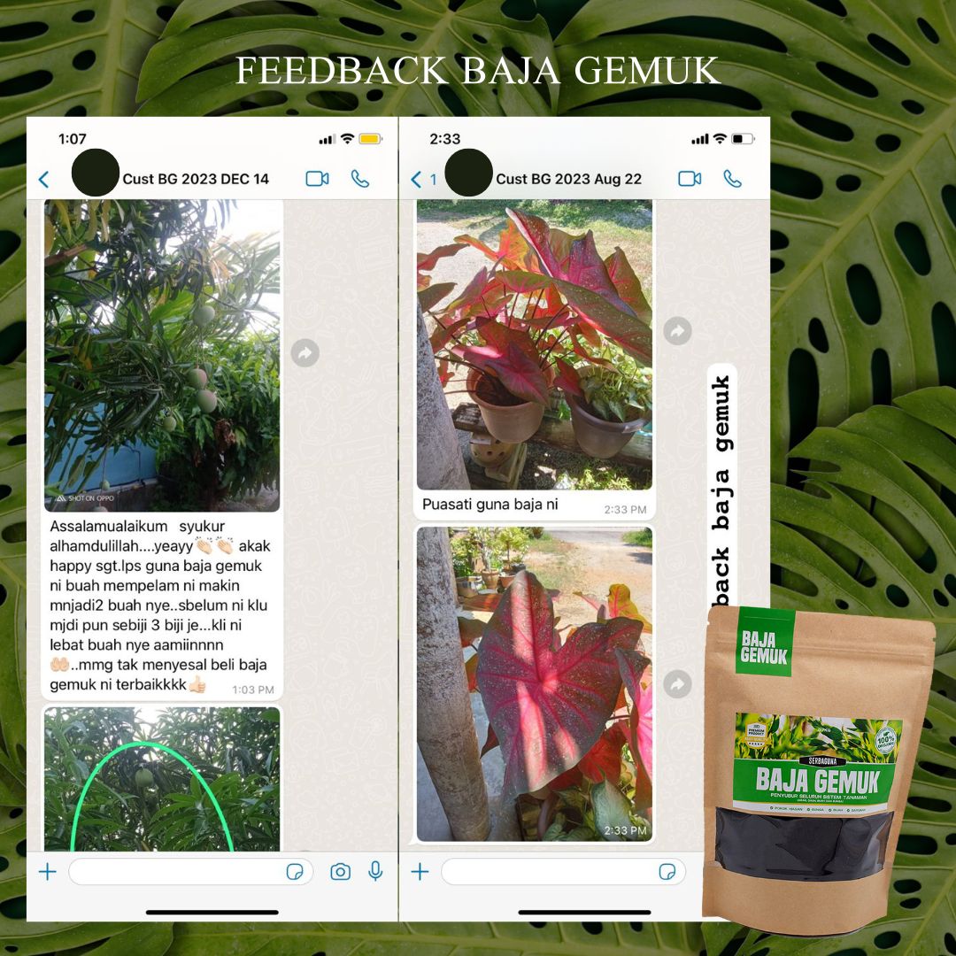 Baja gemuk [SET MERIAH] baja organik baja subur baja bunga baja buah ...