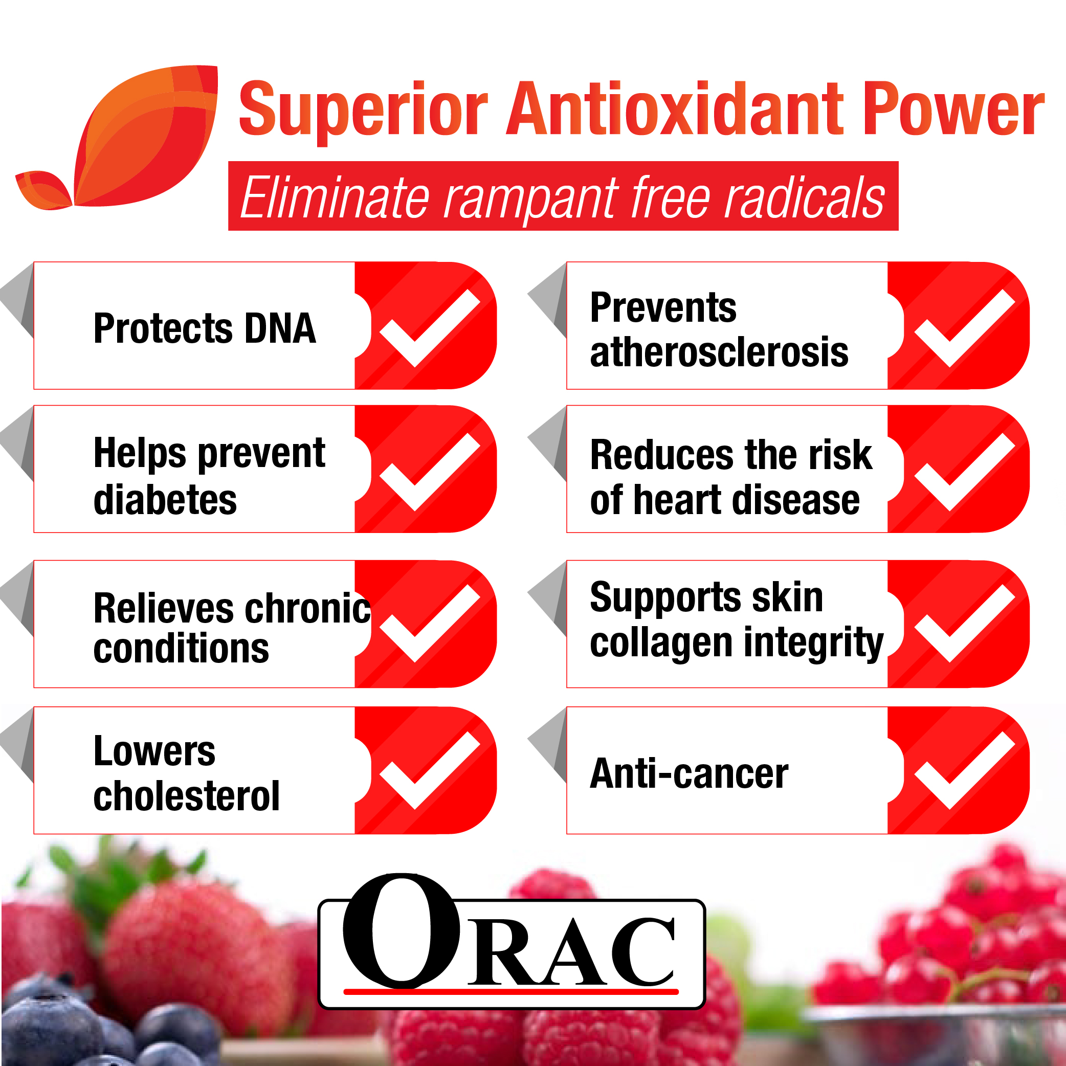NHF Bio Berries Antioxidant Drink 15g x 30 Sachets | Berry Wellness ...