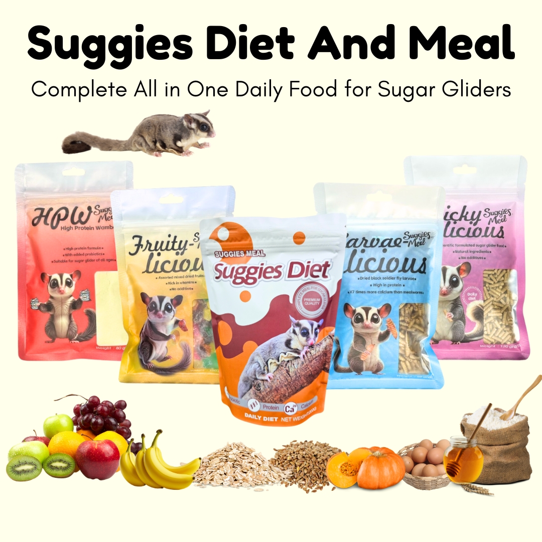 Suggies Meal Series Sugar Glider Food Stick Sugar Glider treats Suggies ...