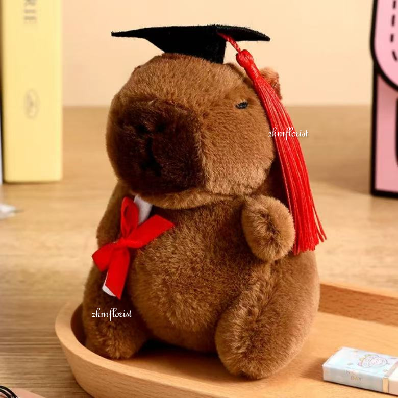 11CM CAPYBARA GRADUATION BEAR Plush Toy Cute Capibara Plushie Toy Anak ...