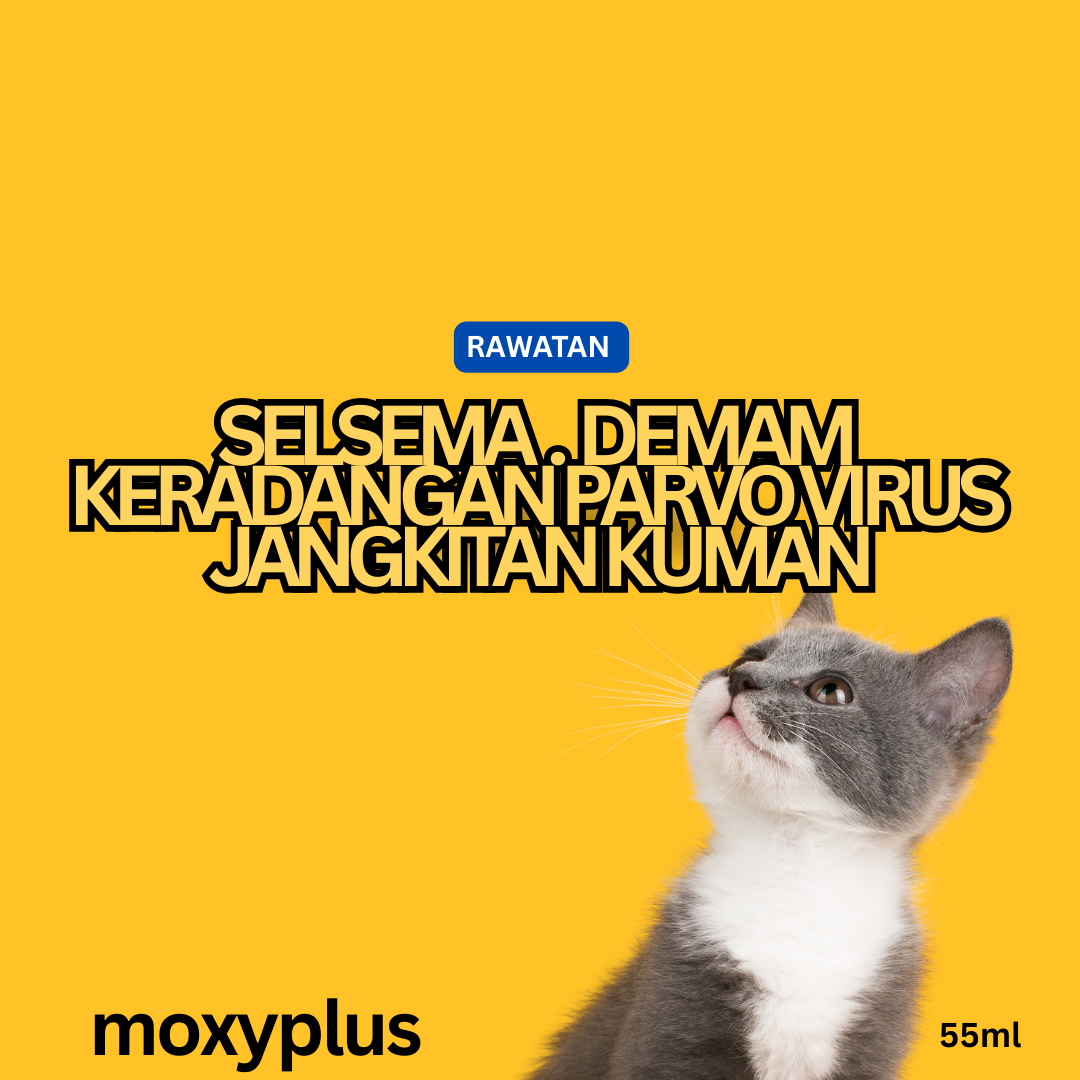Moxyplus+ Rawatan Demam, Selsema, Parvo, Jangkitan Kucing & Haiwan ...