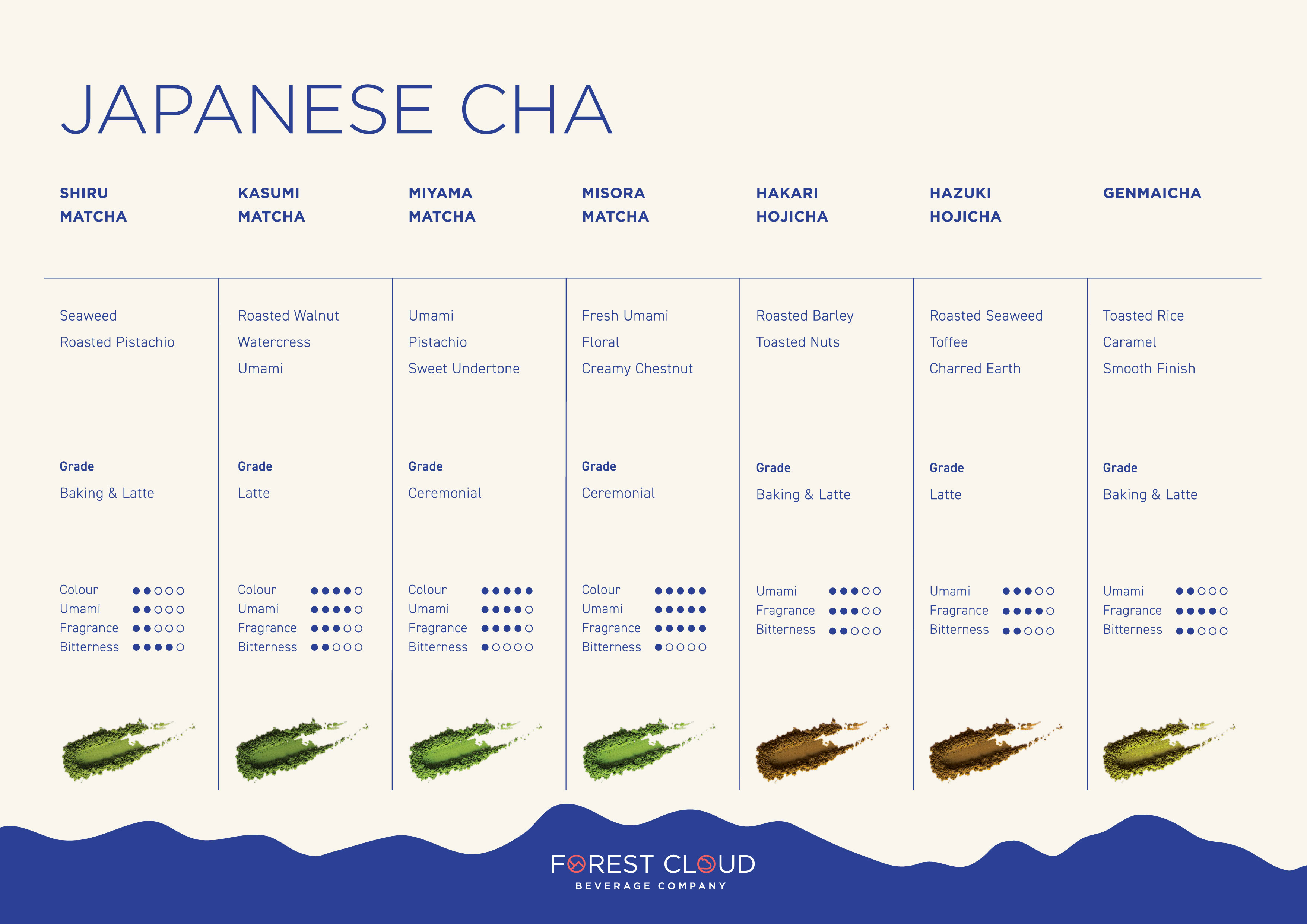 Forest Cloud Matcha Variety Box Assorted Japanese Matcha (5 Types, 10 ...