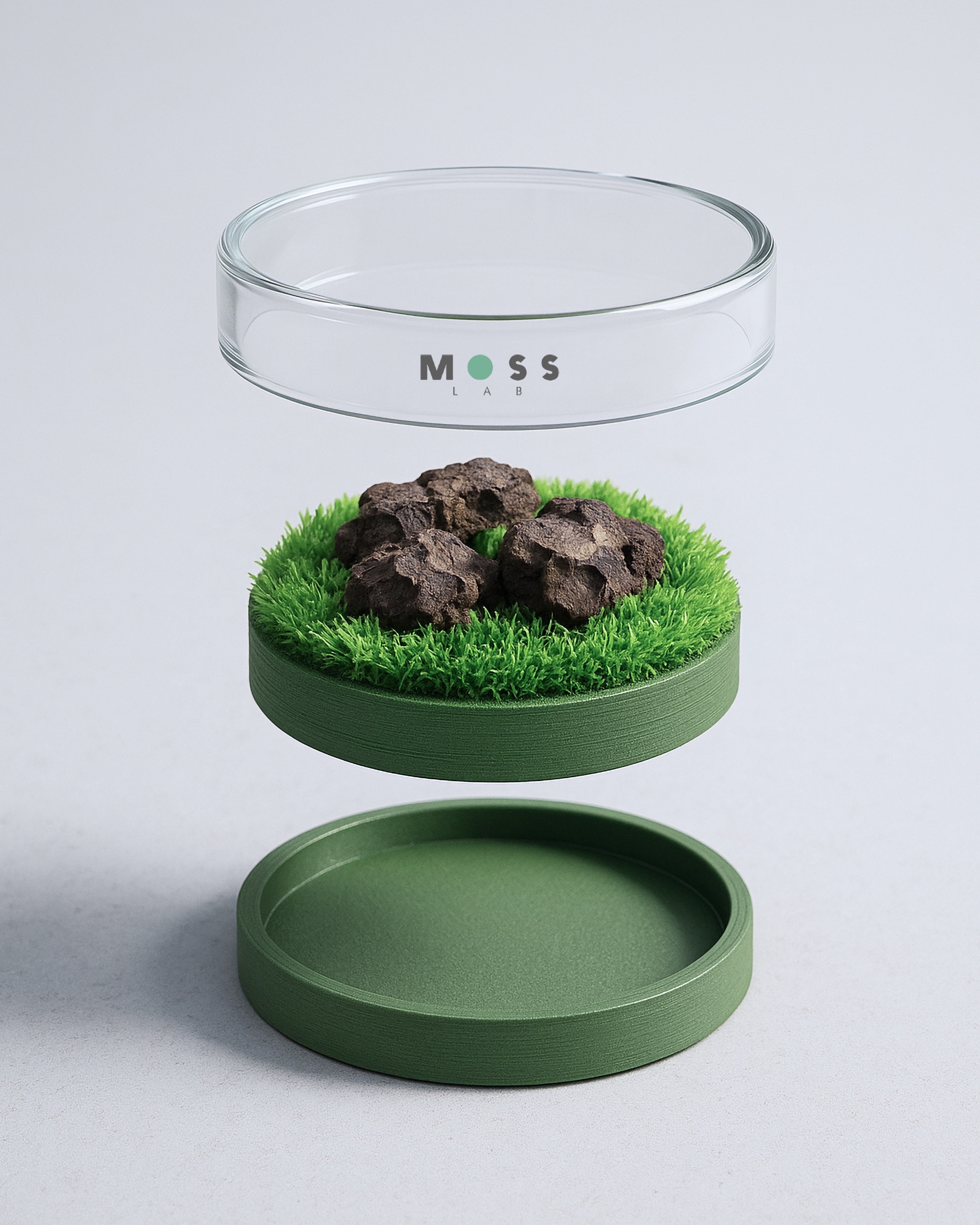 [Preserved Moss Terrarium] The Moss Core - S, Official Licensed ...