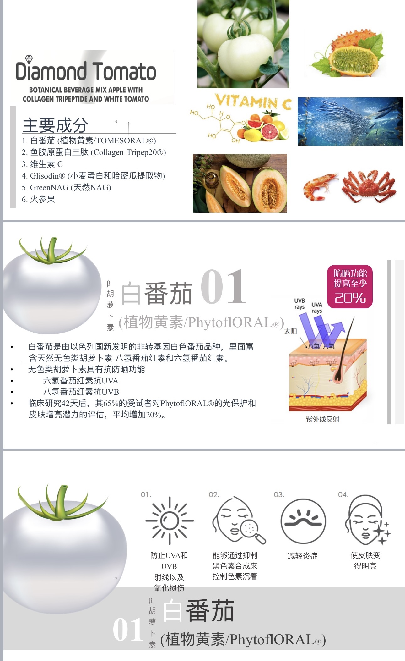 Borneo Fairy Diamond Tomato Botanical Beverage White Tomato Putih ...