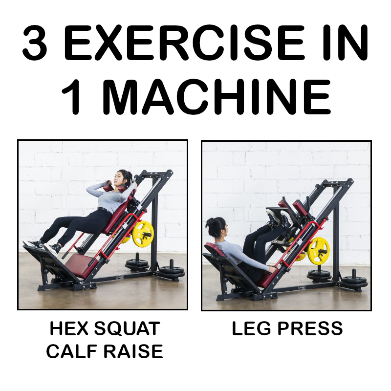 45° Leg Press Hack Squat Calf Raise Machine Plate Loaded Hamstrings ...