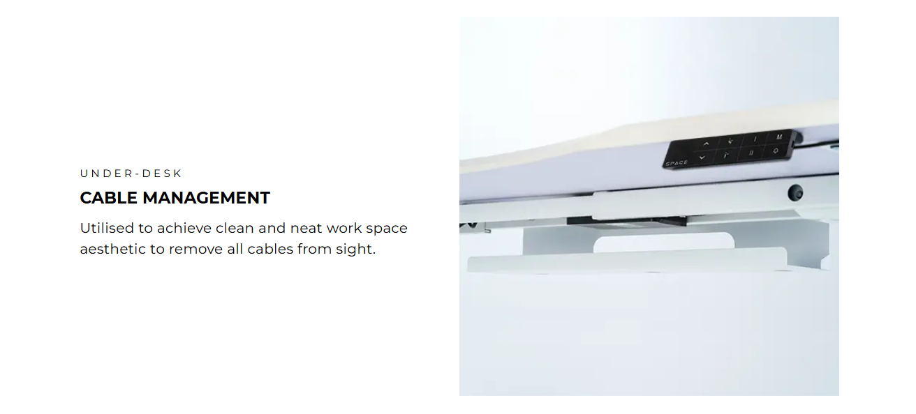 SPACE Dual Motor Pro Ergonomic Smart Desk - 5 Years Official Warranty ...