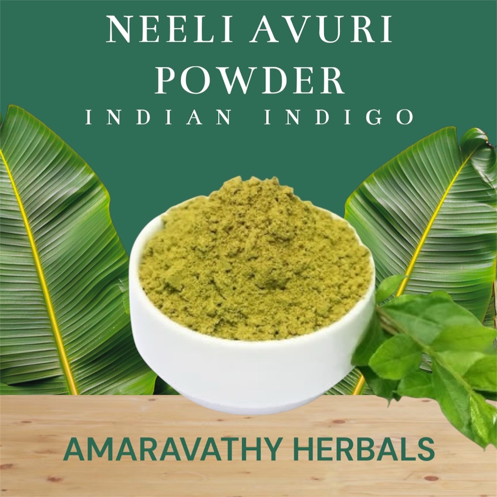 Neeli avuri ilai chooranam | Indian Indigo Leaves Powder | indigofera ...