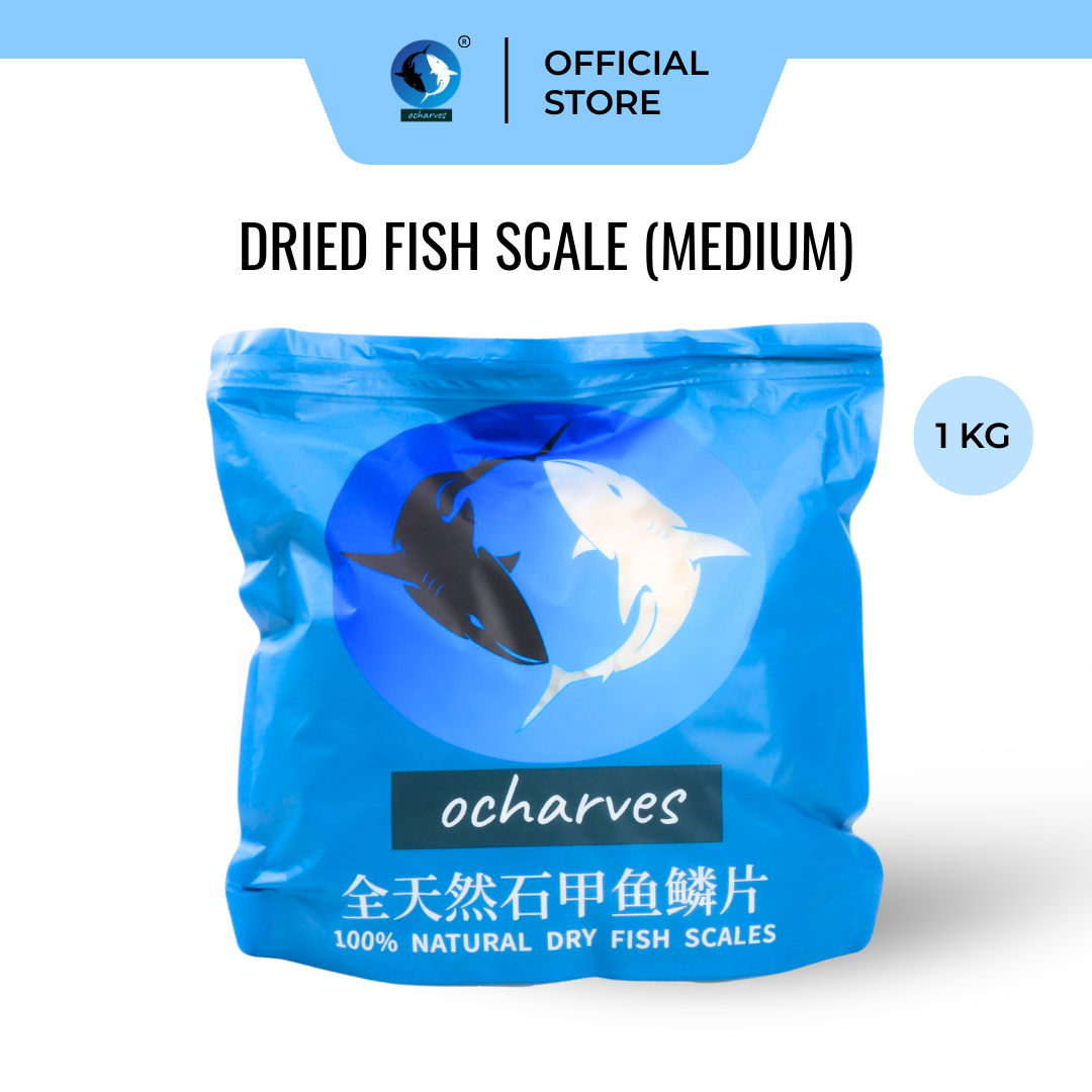 ocharves Dried Fish Scale Collagen Medium (1kg) 深海石甲鱼鳞片中 (1kg) | Shopee ...