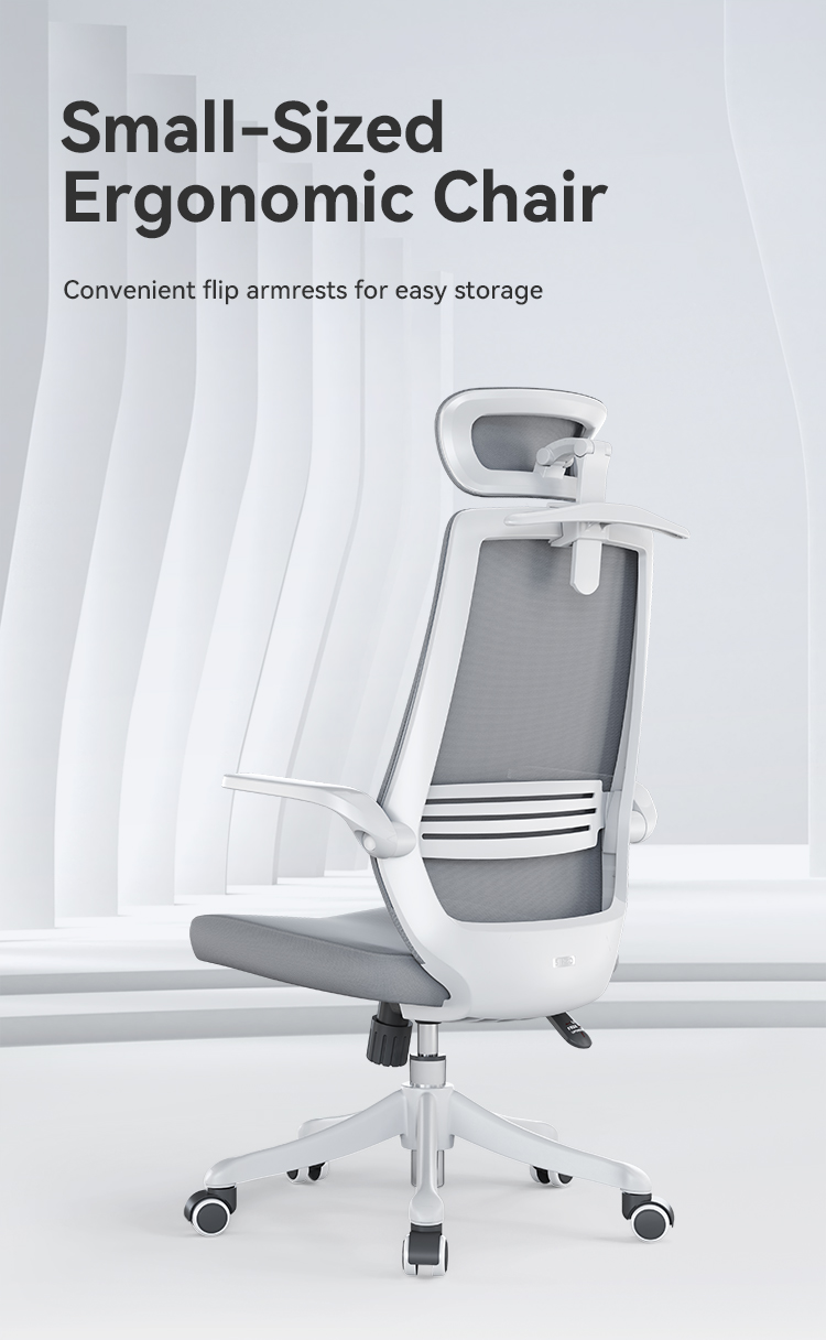 SIHOO M76 Half Mesh Ergonomic Office Chair 西昊人体工学椅 - 3 Years Warranty ...