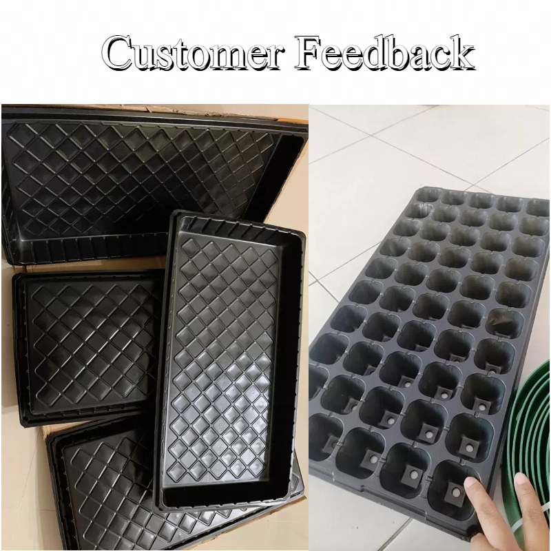 Seedling Tray Tray Semaian 50 128 Holes Bekas Semaian 54*28*5cm Plant ...
