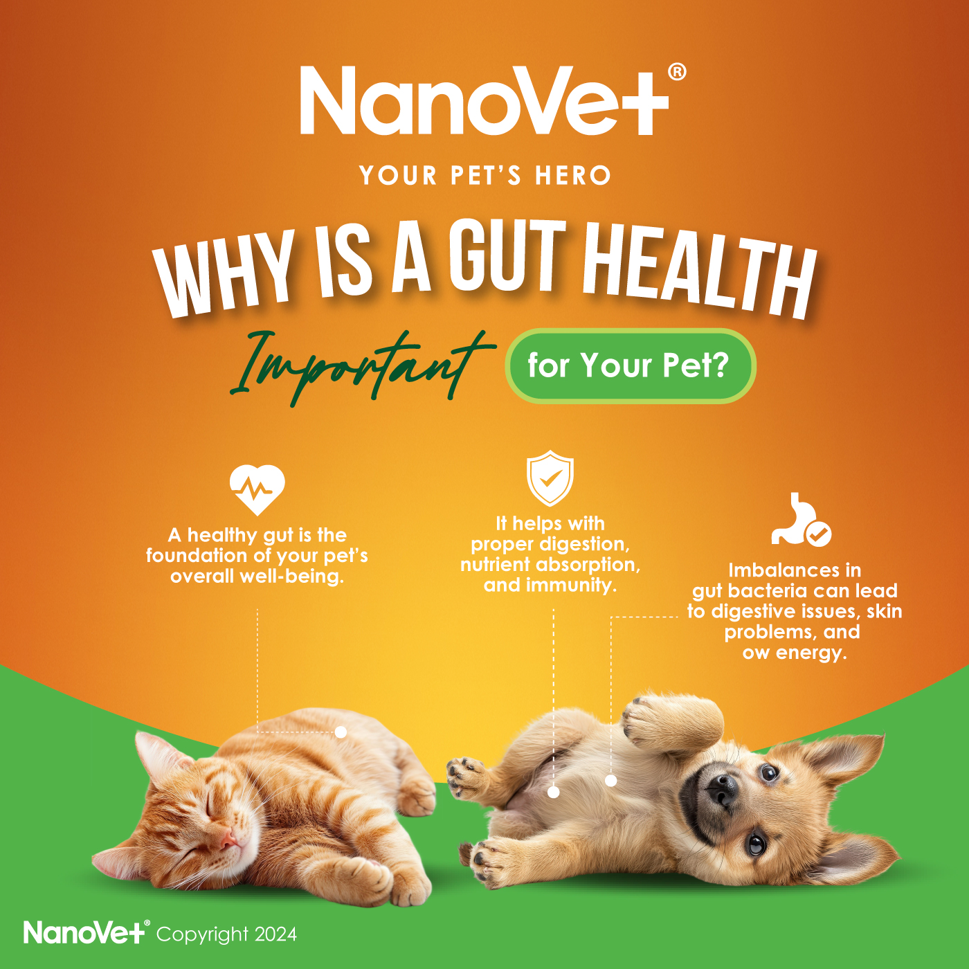 Nanovet® Pet Probiotic Chews – Digestive & Immune Support for Cats ...