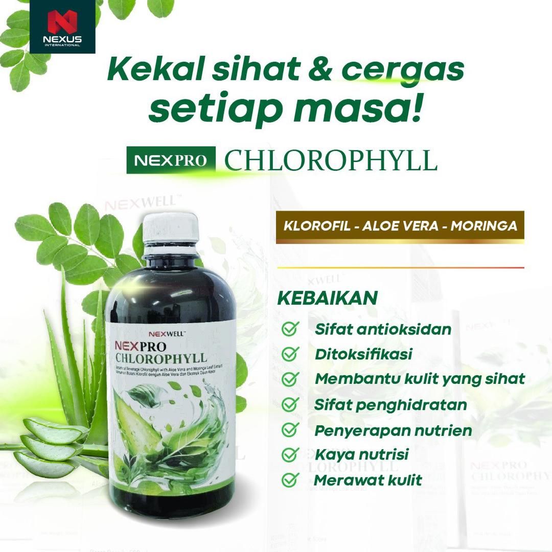 🎁 FREE GIFT & 🚛 FREE SHIPPING NEX PRO CHLOROPHYLL 500 ML (NEXUS ...