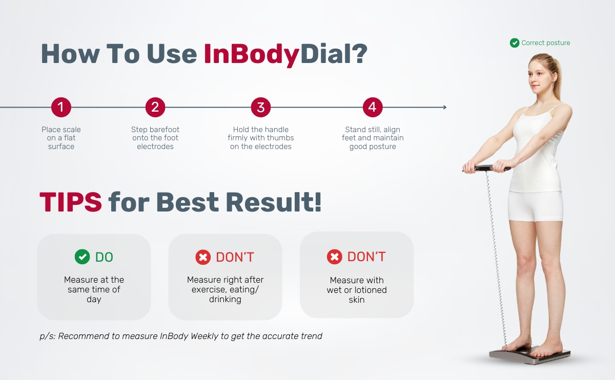 InBodyDial H40 | Smart Body Composition Scale, Digital Weight, Body Fat, BMI, Leg Muscle | Beige ...