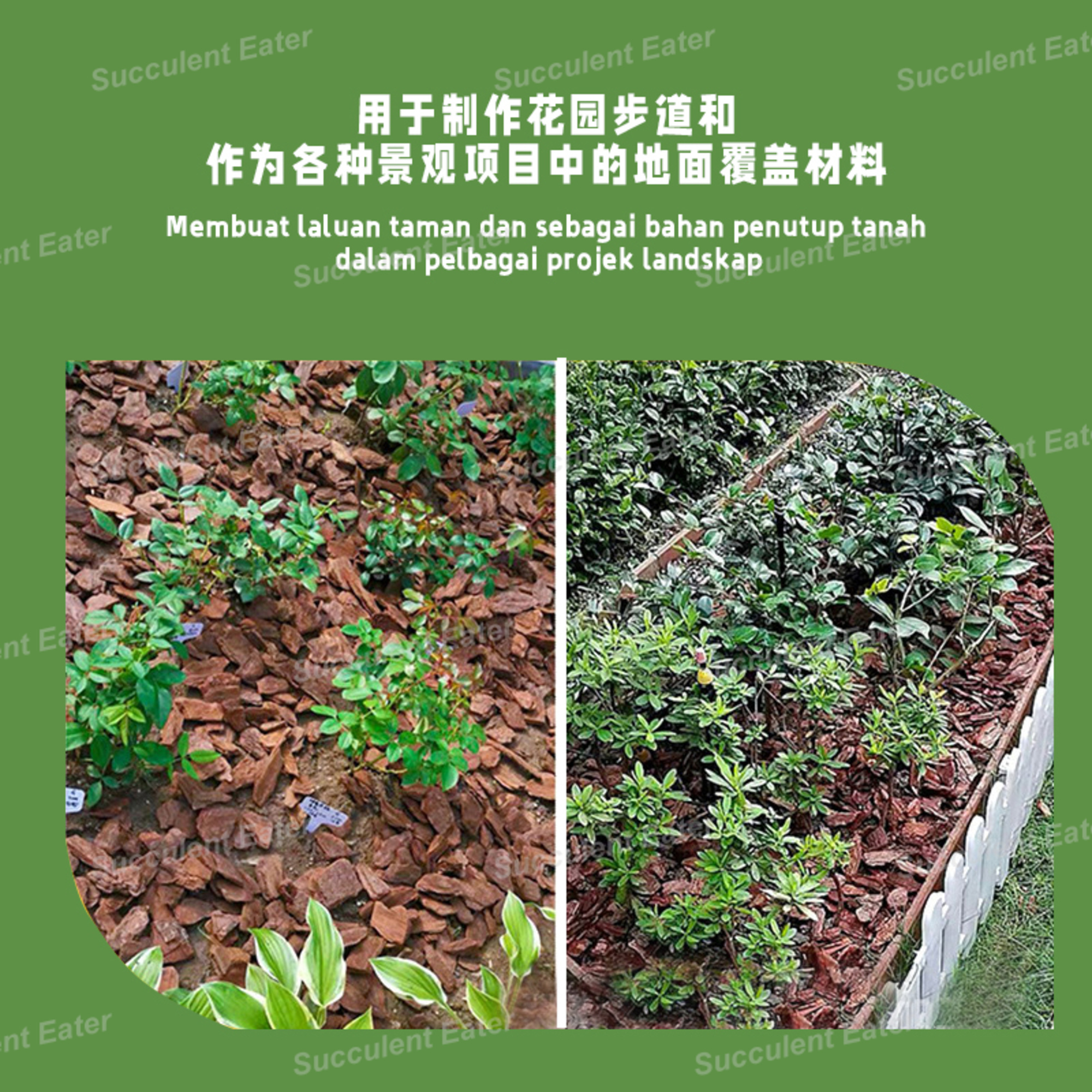 Pine Bark 1 Liter Kulit Kayu Pain Garden Plant Wood Orchid Turtle ...