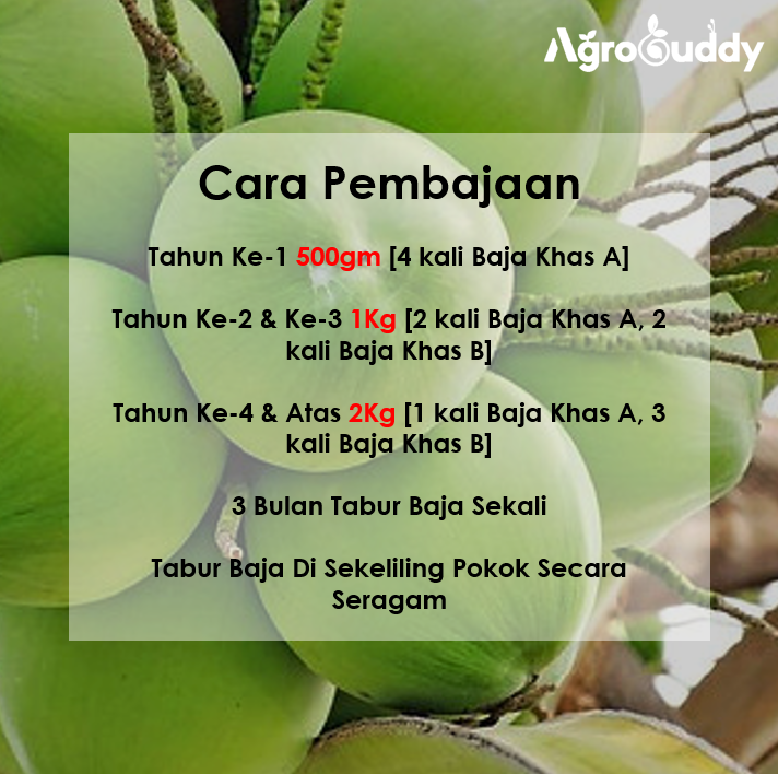 [1kg] AgroBuddy Baja Pokok Kelapa Khas | Special Coconut Fertilizer ...